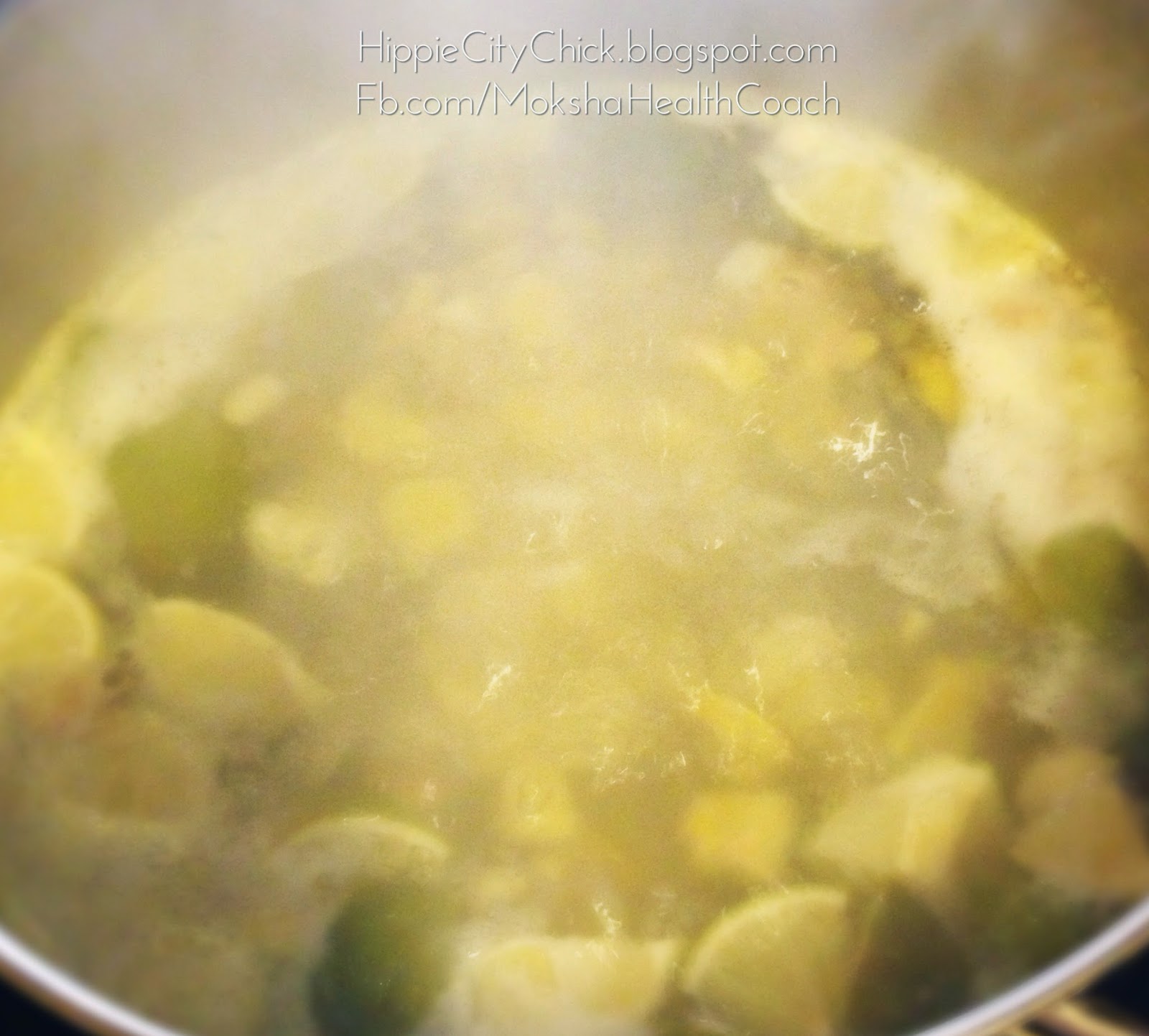Hippie City Chick: The Cure All Elixir