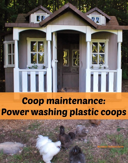 Chicken coop maintenance: Plastic coops - Murano Chicken Farm