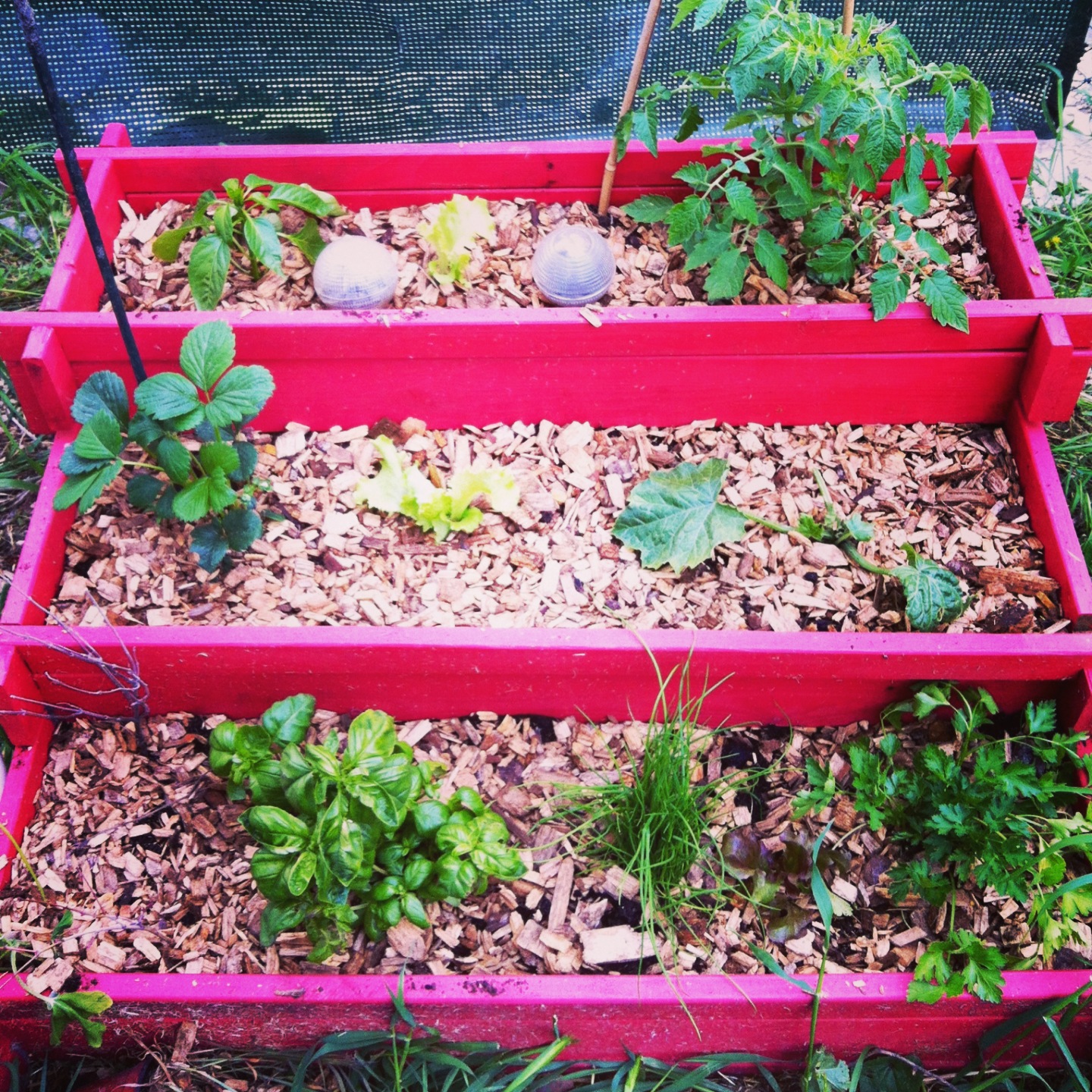 DIY : mon potager en carré! - Initiales GG ...