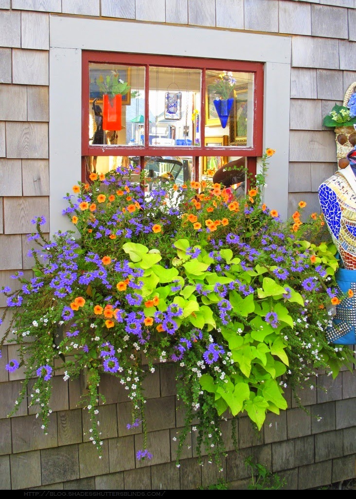 Renée Finberg ' TELLS ALL ' in her blog of her Adventures in Design ...