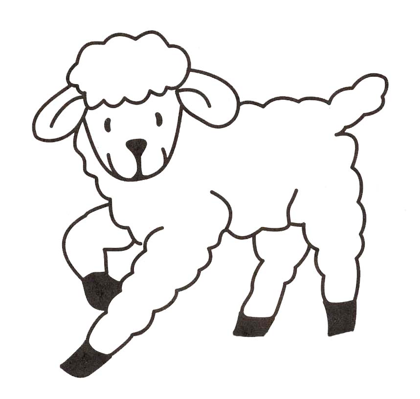 a mi utunk: gyapjú és áldozati bárány