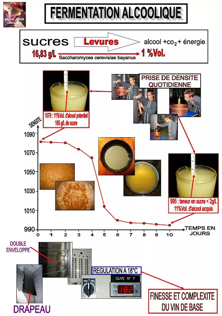 Cours Œnologie - Michel VERON: Fermentation alcoolique