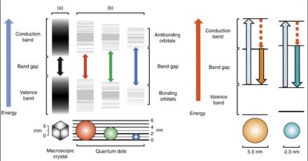 Quantum Dot Sensors - Nanotechnology