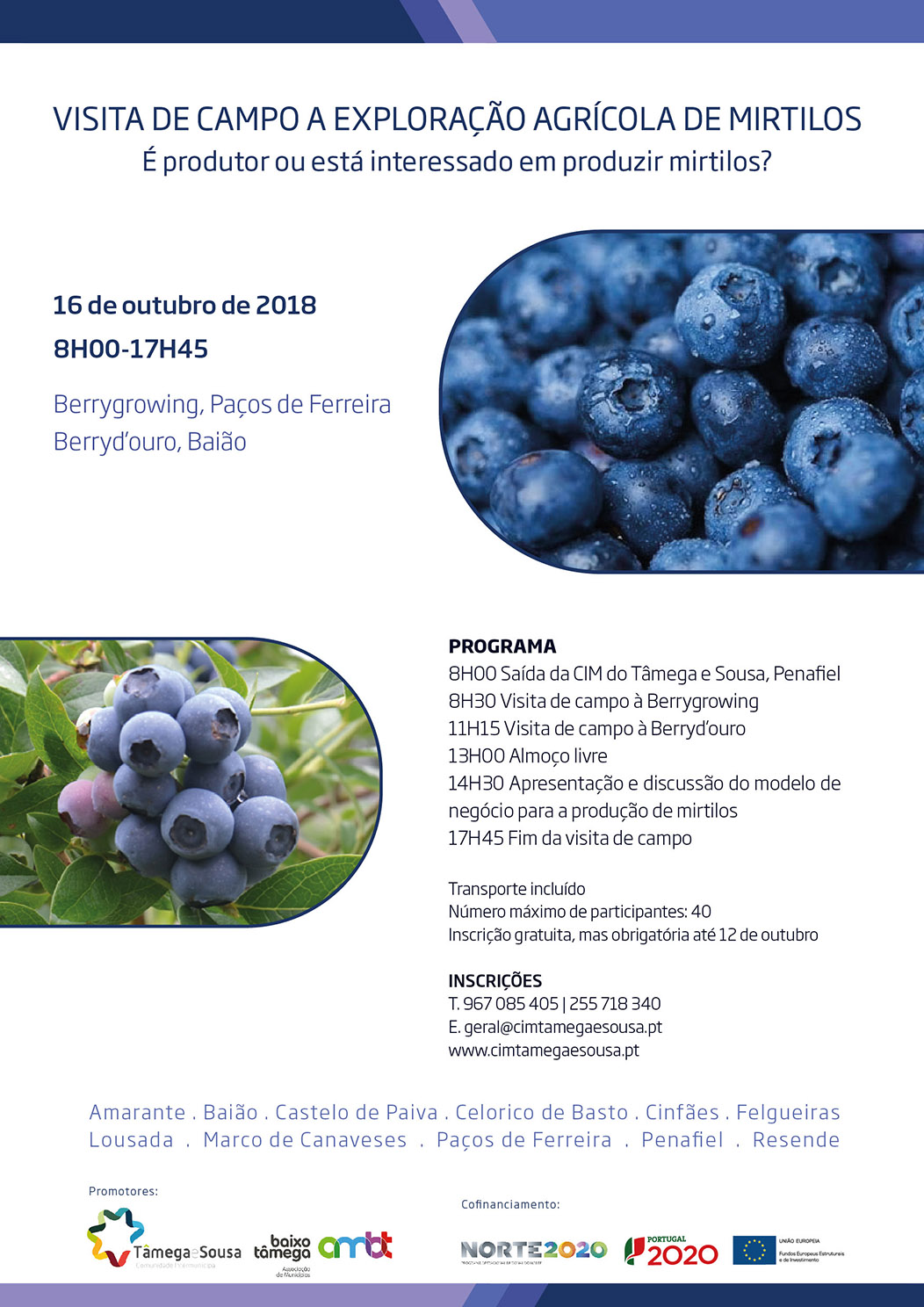 VISITA DE CAMPO A EXPLORAÇÕES AGRÍCOLAS DE MIRTILOS 16 outubro