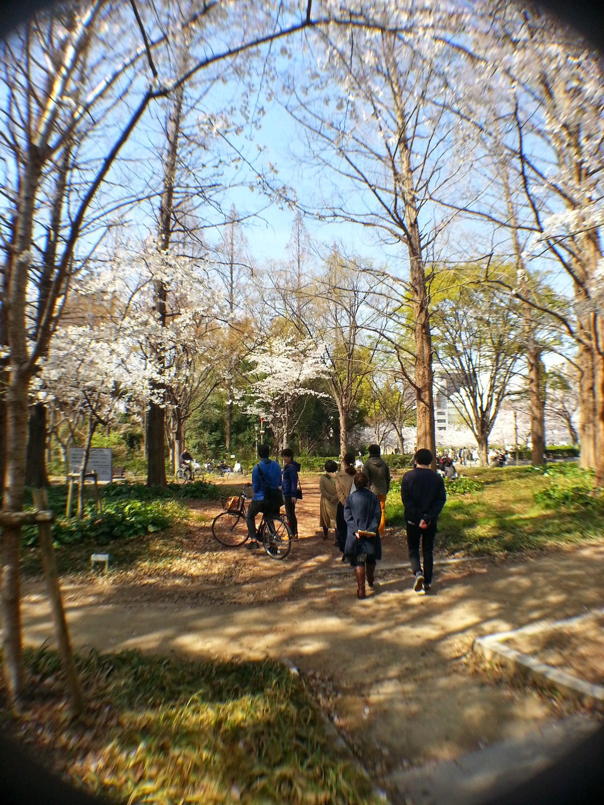 We Love K a n s a i: O-Hanami Spots in Osaka - Utsubo Park