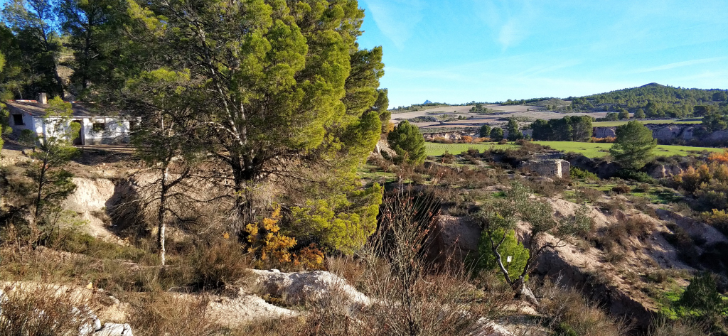 Baños de Gilico-Coto Minero del Distrito Gilico-Arroyo Hurtado-Camino ...