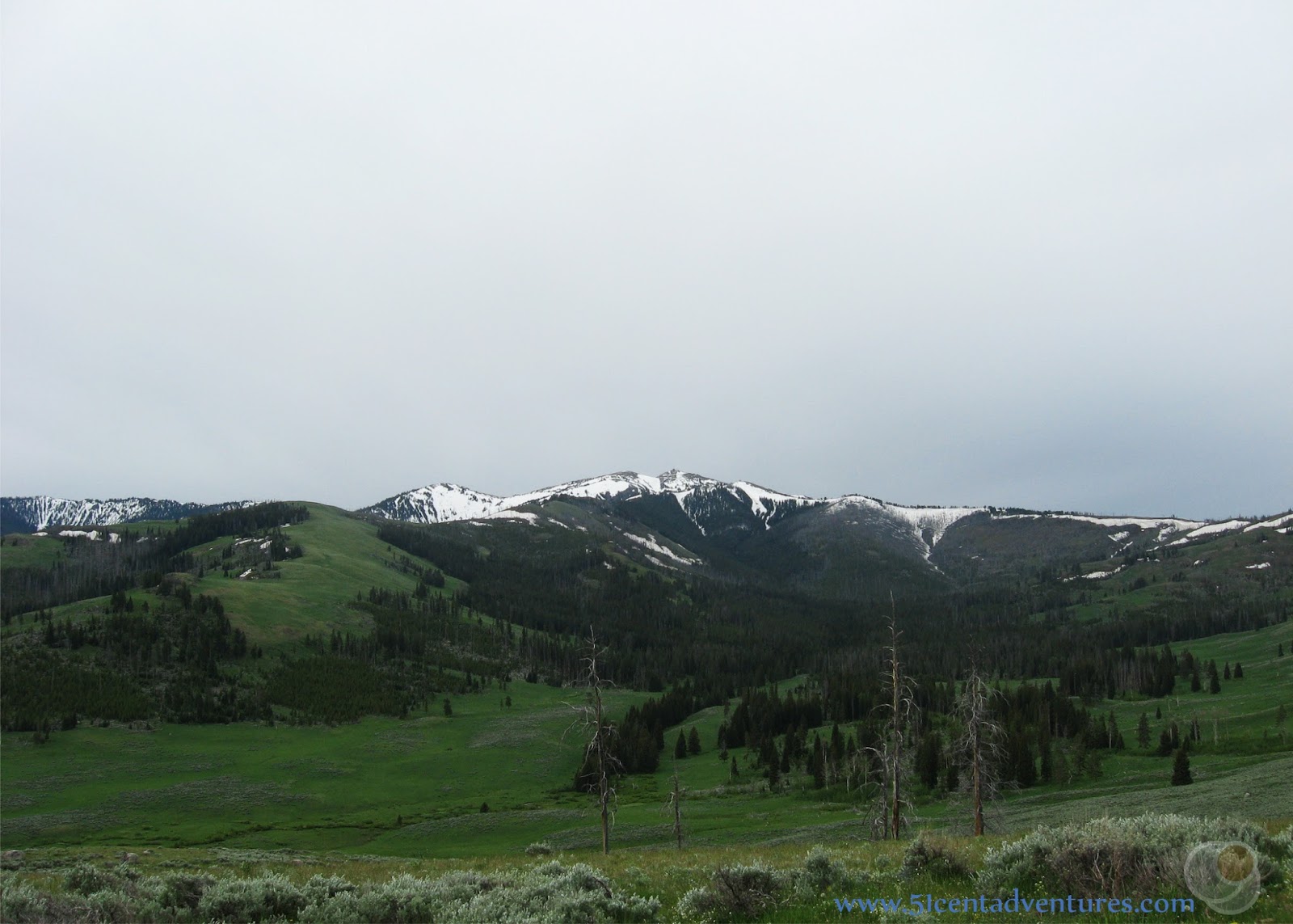 51 Cent Adventures: Mount Washburn - Yellowstone National Park
