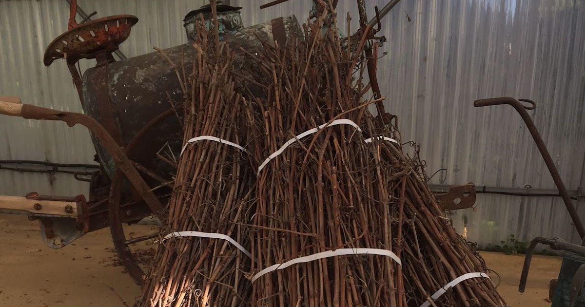 JARDIVIGNE: Sarments de vigne pour vos grillades...