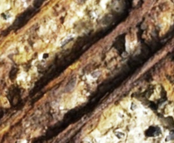 How is Concrete Exposed to Chlorides?