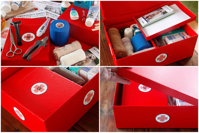 Dalmatian DIY Creating A Home First Aid Kit For Our Pets dalmatian-diy-creating-a-home-first-aid-kit-for-our-pets