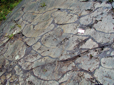 earthscienceguy: Minnesota Geology Monday - Pillowed Greenstone