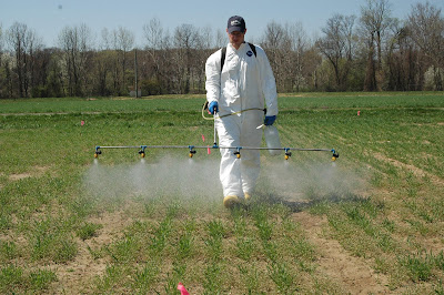 PSUGrainCropsGuy: Controlling Hairy Vetch in Wheat
