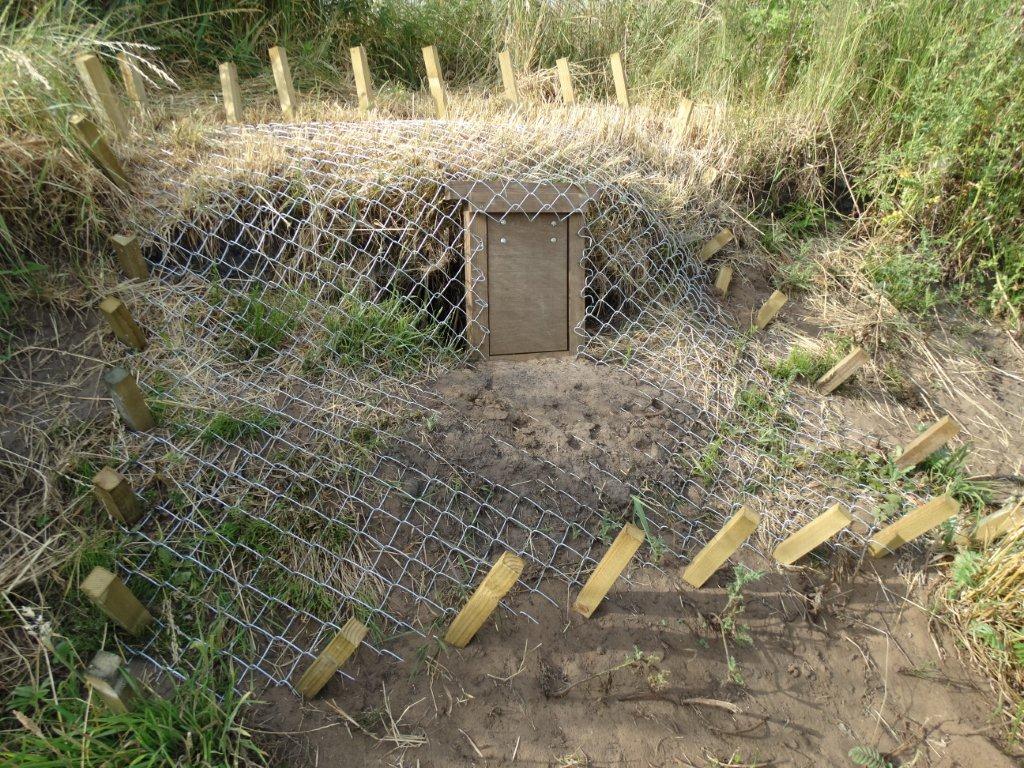 Norfolk Wildlife Trust: Work starts again at Hilgay wetland creation site