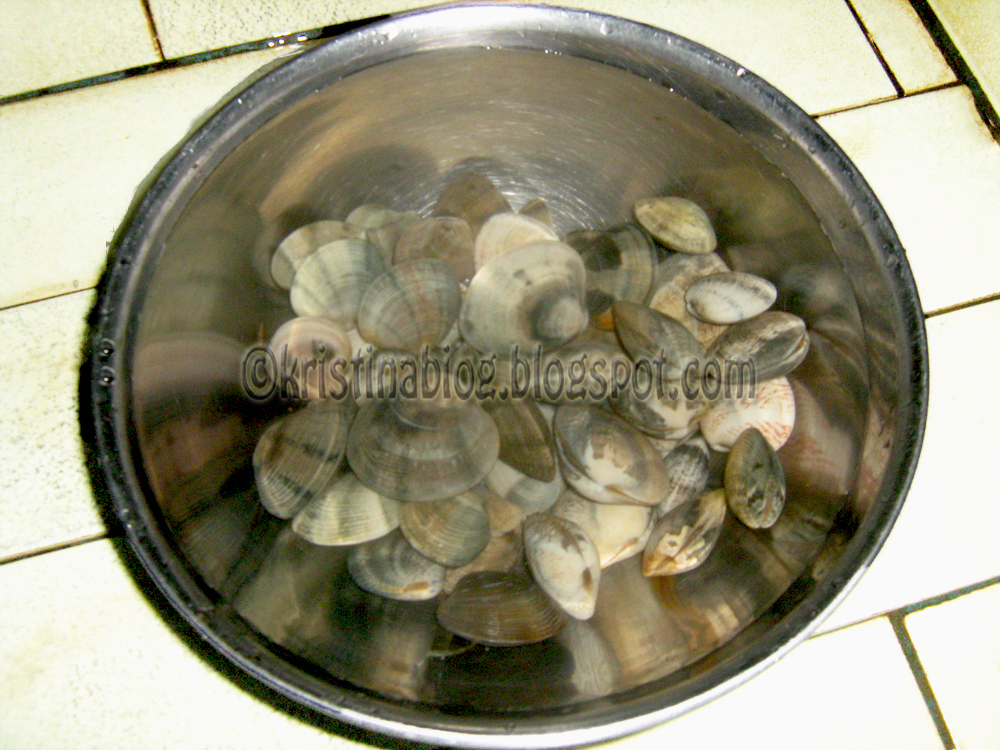 Speckles n Spectrum: Speckled Cockles