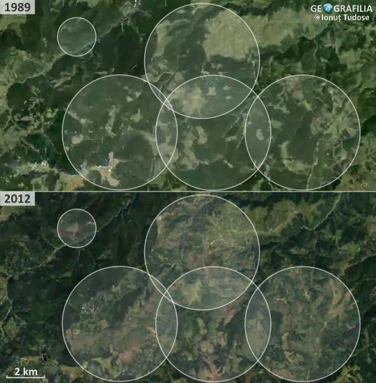 GEOGRAFILIA: Defrișările masive din România. 14 imagini satelitare ...