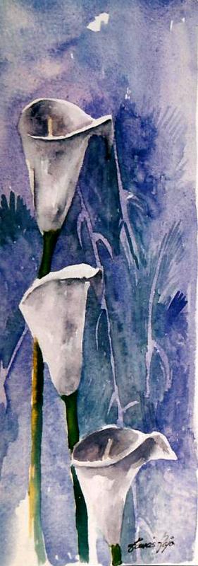 TOMAS RAJA - ACUARELAS - WATERCOLOR