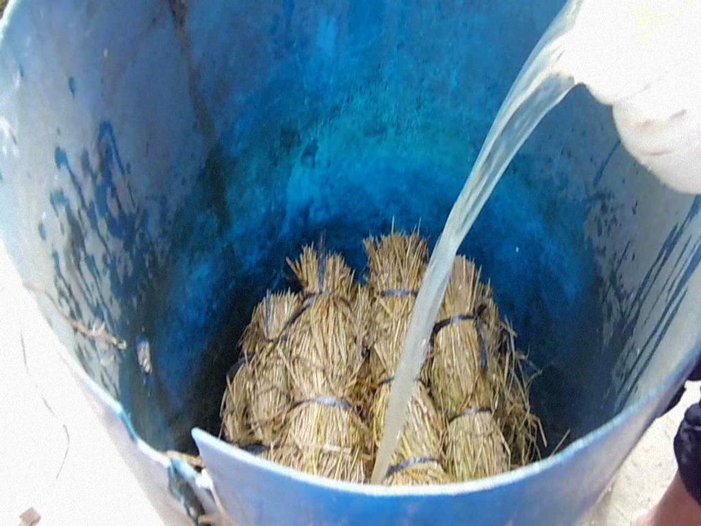 Desa Bunga Raya: PEMBUATAN KOMPOS JERAMI UNTUK BUDIDAYA JAMUR MERANG