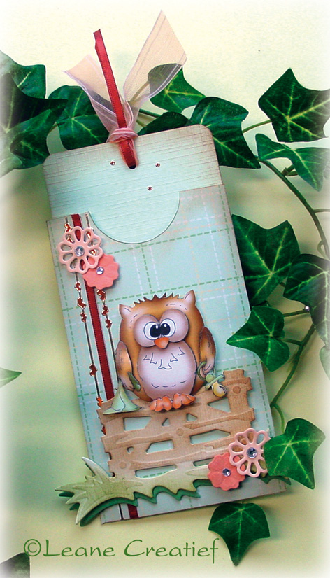 creatief met leane: Cadeau envelopje met Tweetke