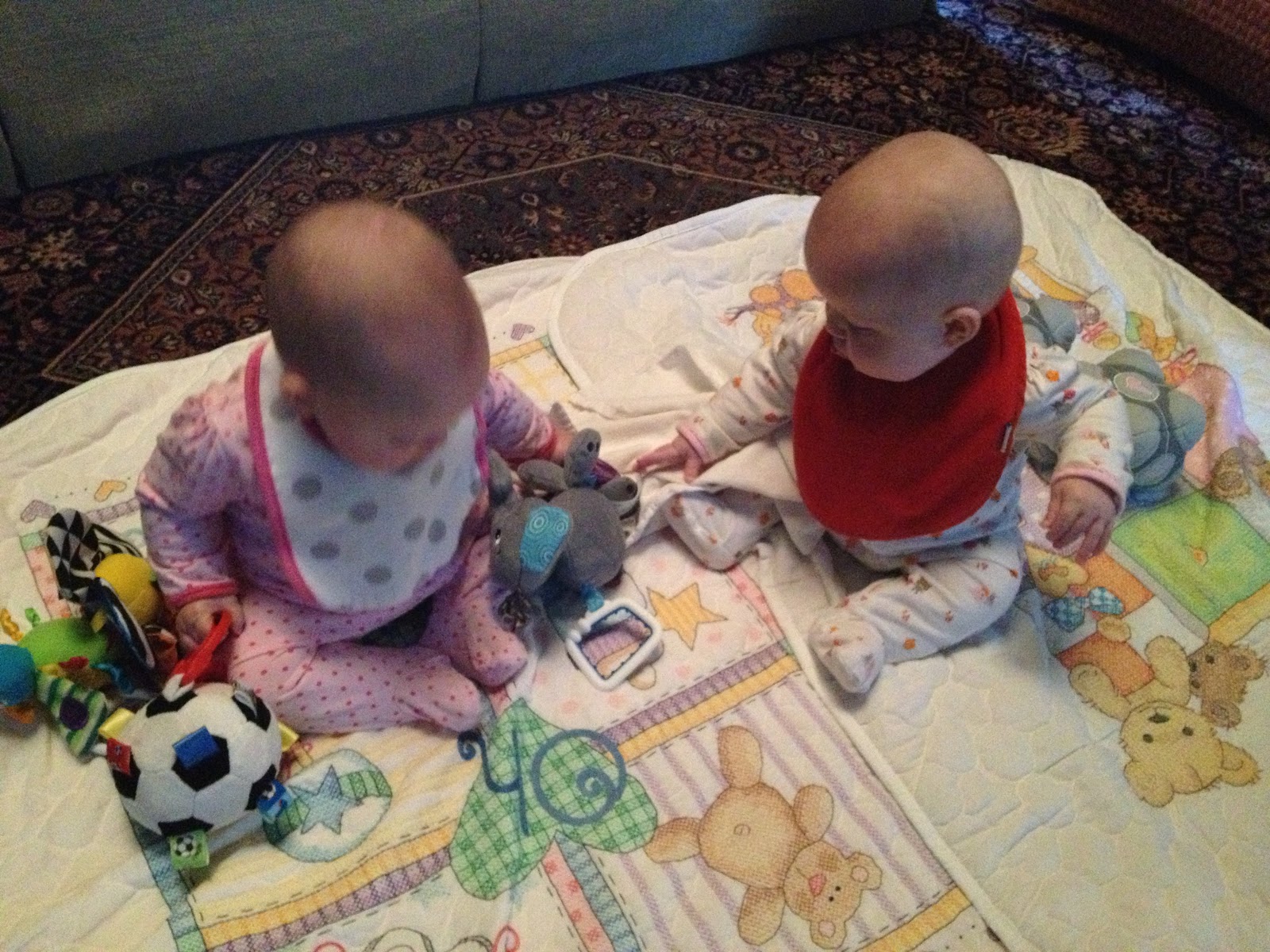 The Pair of Scates: Twin Turkeys on Thanksgiving