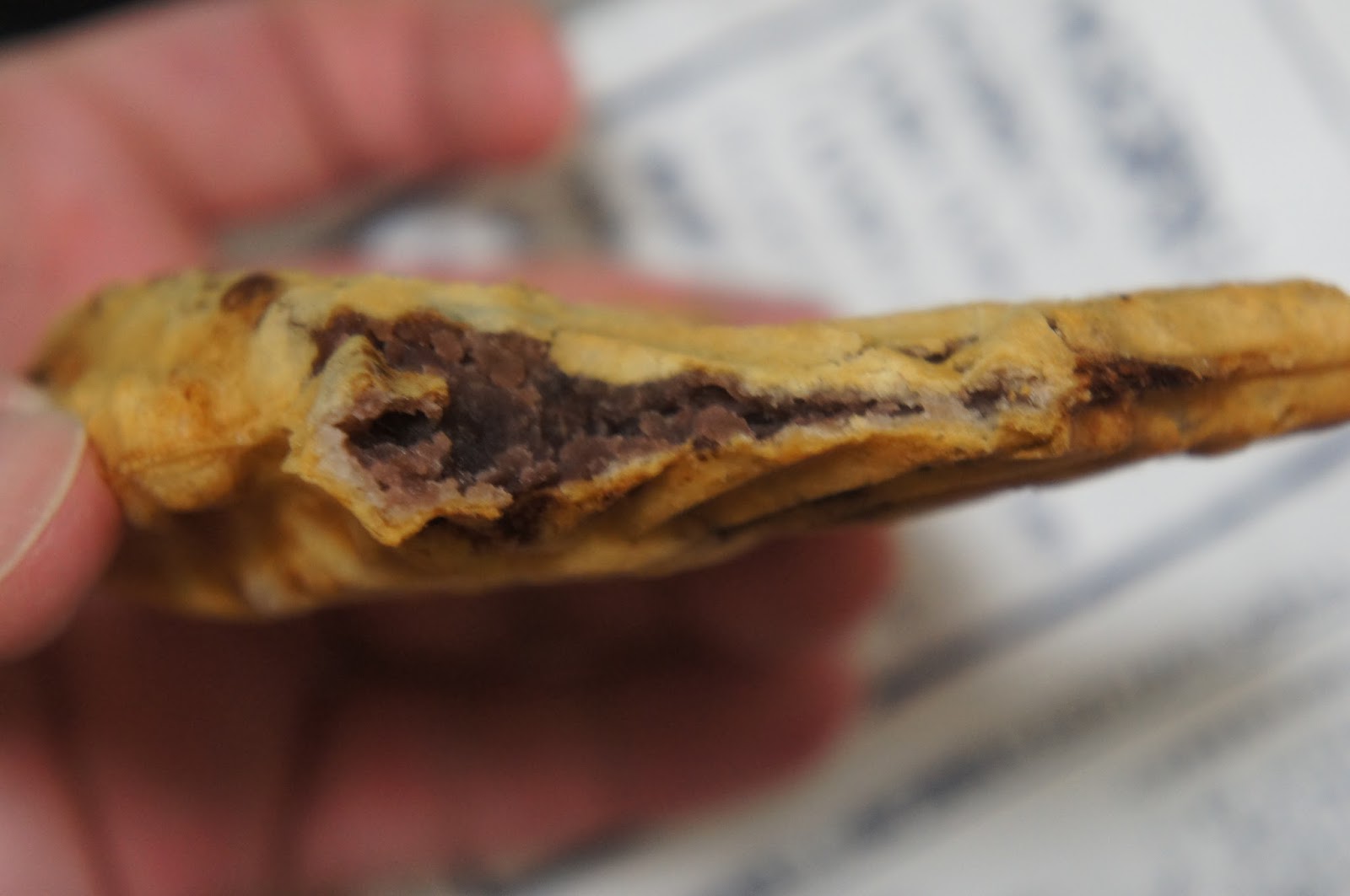 Tokyo Belly: YOYOGI: Japanese Taiyaki (fish shaped waffle with red bean ...