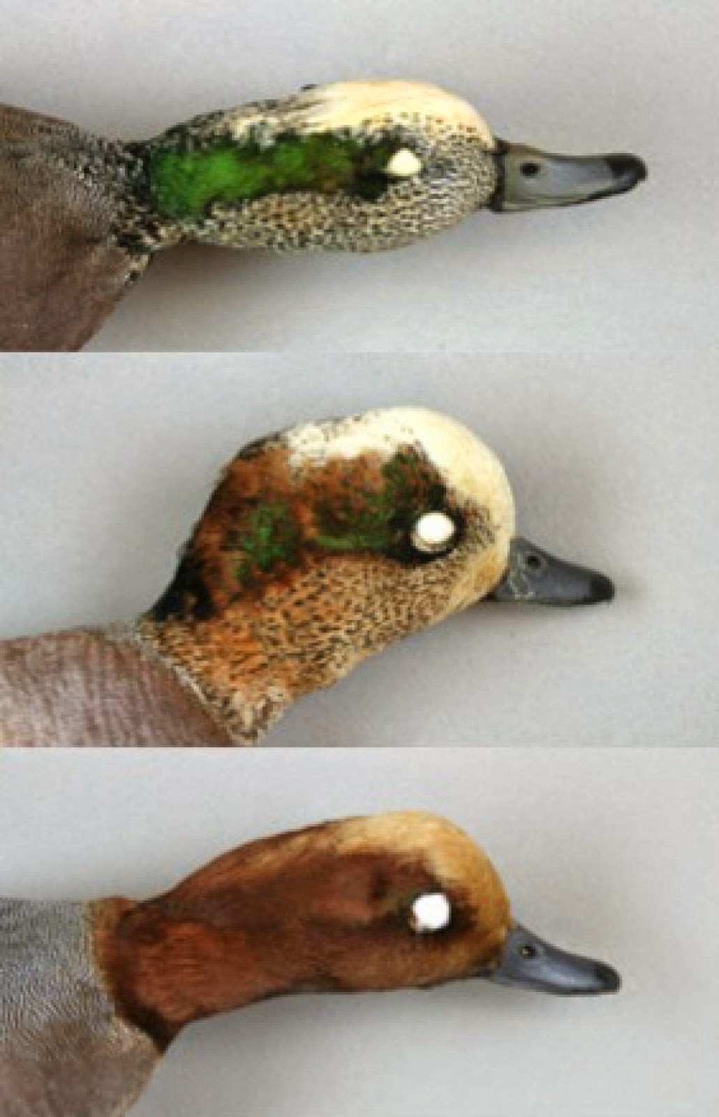 Hybrid Duck Study: HYBRID GALLERY - 2013