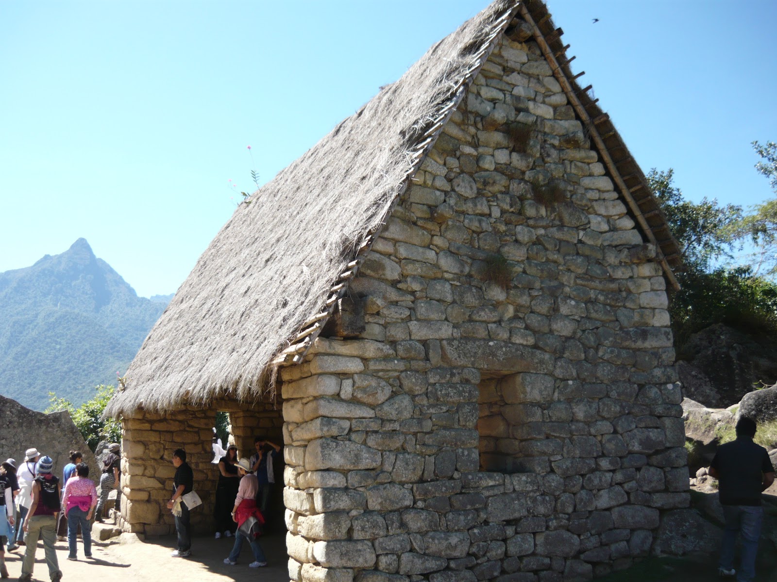 El ayllu | Lizerindex