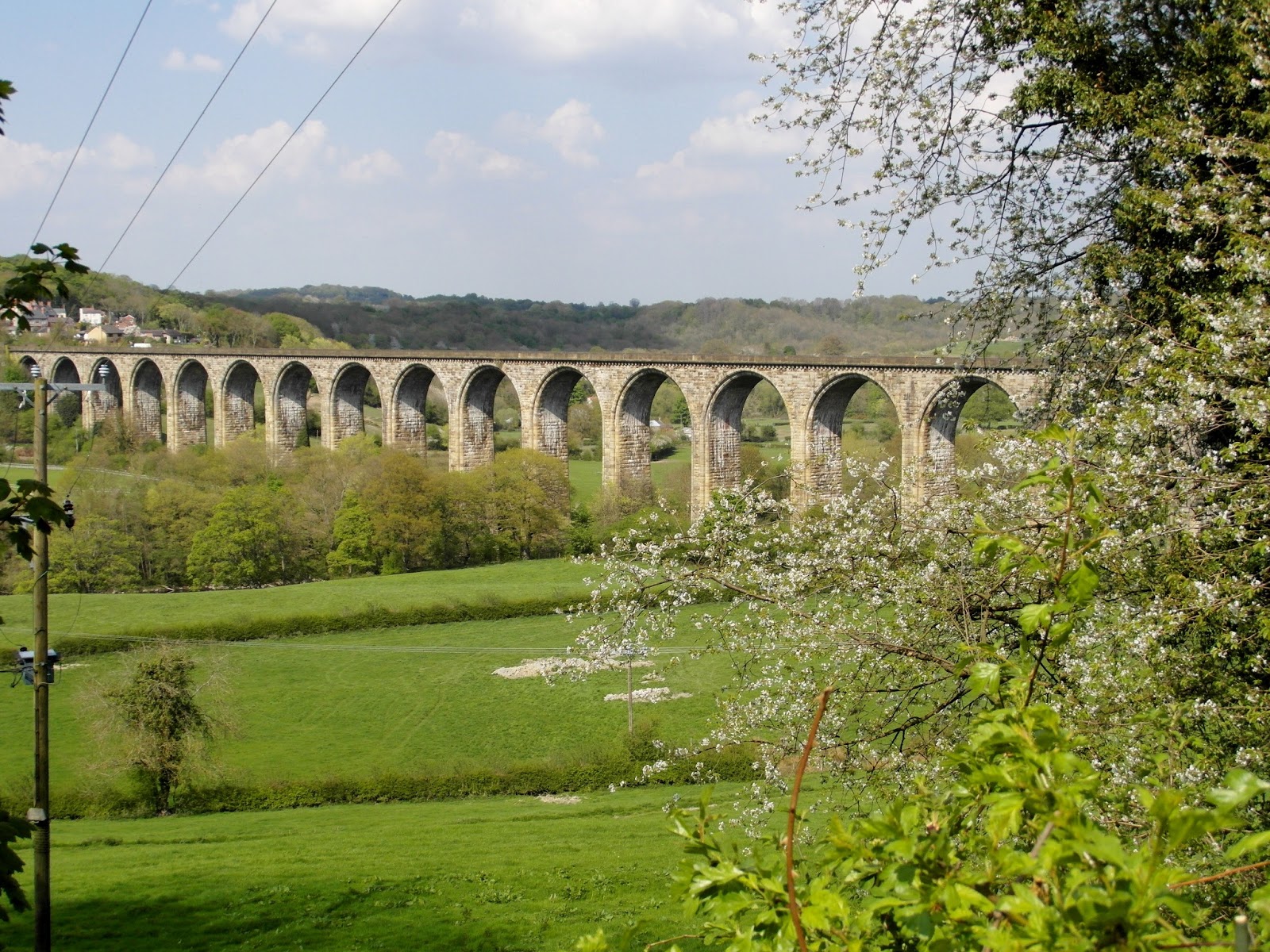 Currin Family Updates – Currin Family from Nelson, New Zealand