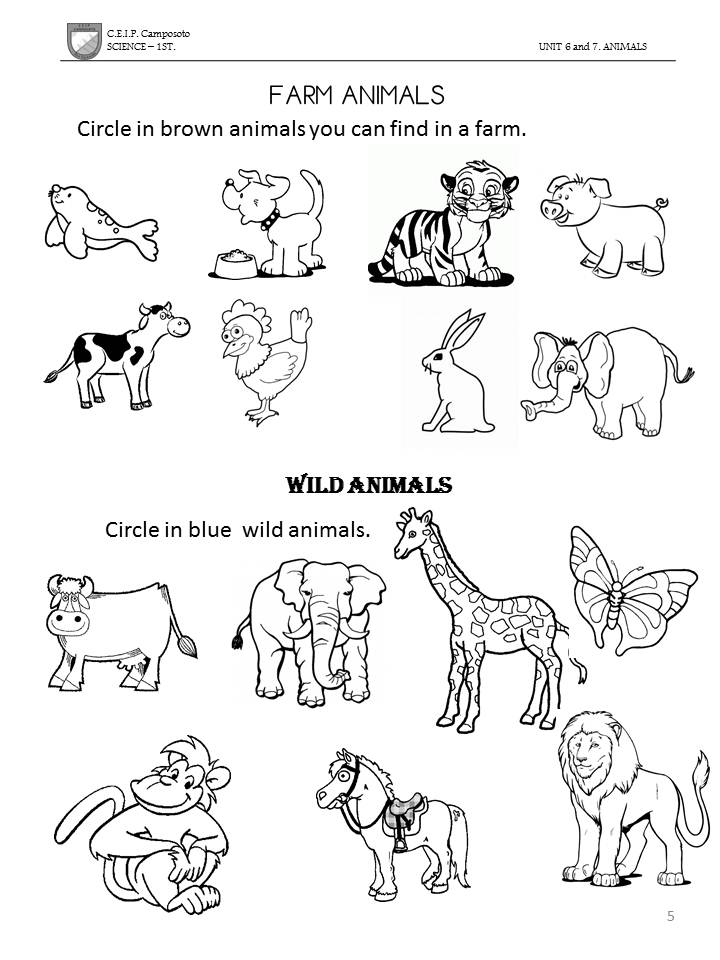We are learning English: CUADERNILLO BILINGÜE "ANIMALS" UNIDADES 6 Y 7
