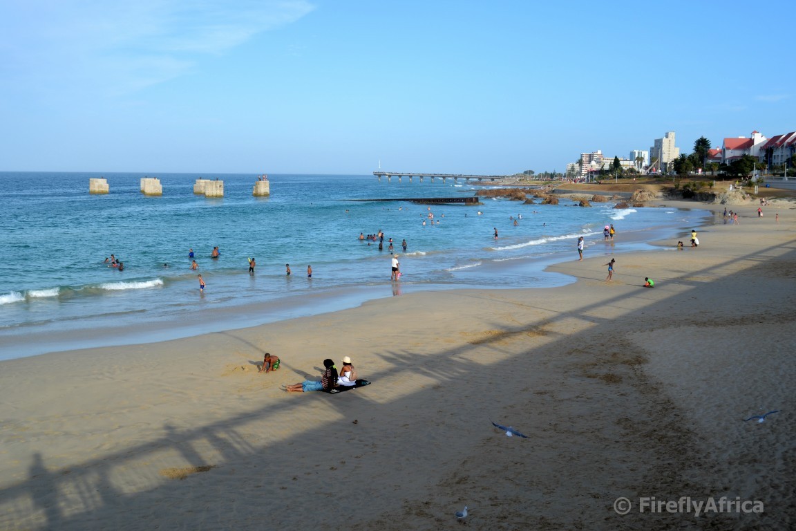 Port Elizabeth Daily Photo: Then and Now - Humewood Beach