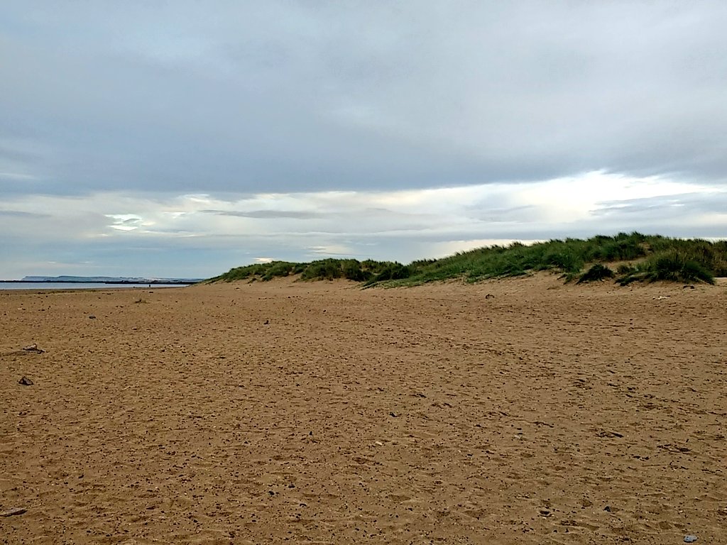 Life's A Beach. The Driftwood Lectures... : SEATON SANDS, HARTLEPOOL ...