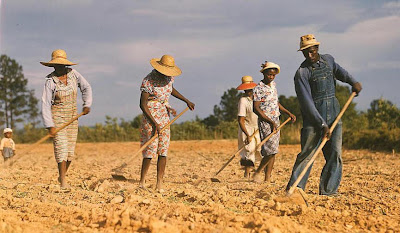 The Rural Blog: Rural America as rural Americans saw it, 1940-42