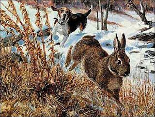 Wild Qualitative Hunt