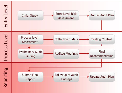 AUDIT INTERNAL - dandy`s file: Audit Plan