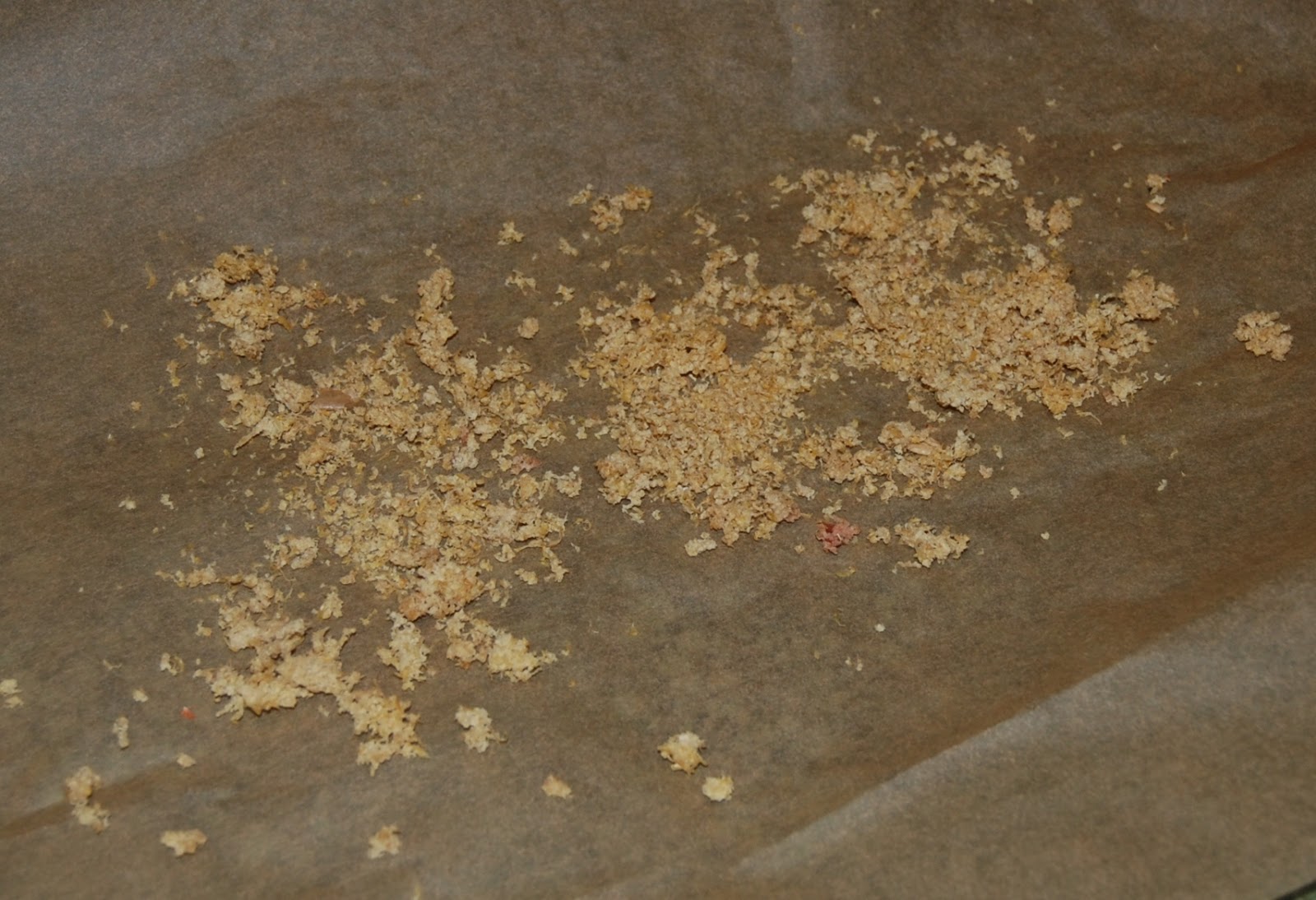 Kid Friendly Organic Life: How I Grew the Biggest Lemons in Pennsylvania!