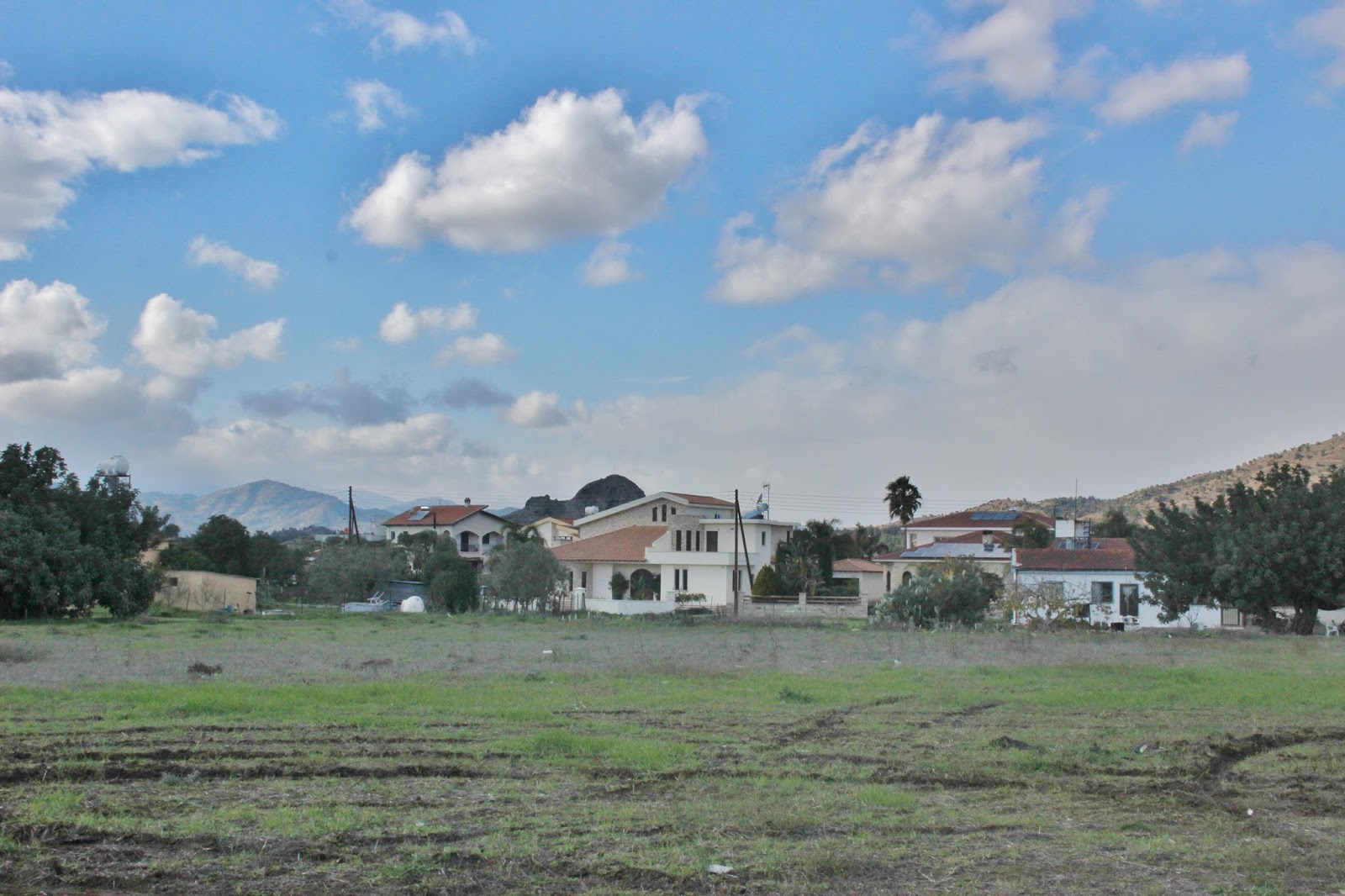 Biodiversity of Cyprus by NGO Protection of the Natural Heritage and ...