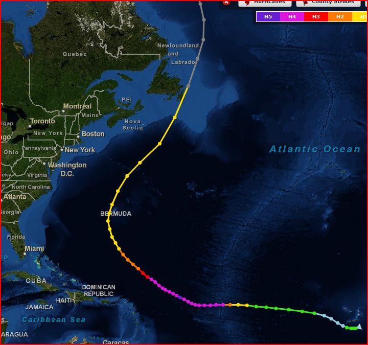 Birding Newfoundland with Dave Brown: Birding in Hurricane Chris and a ...