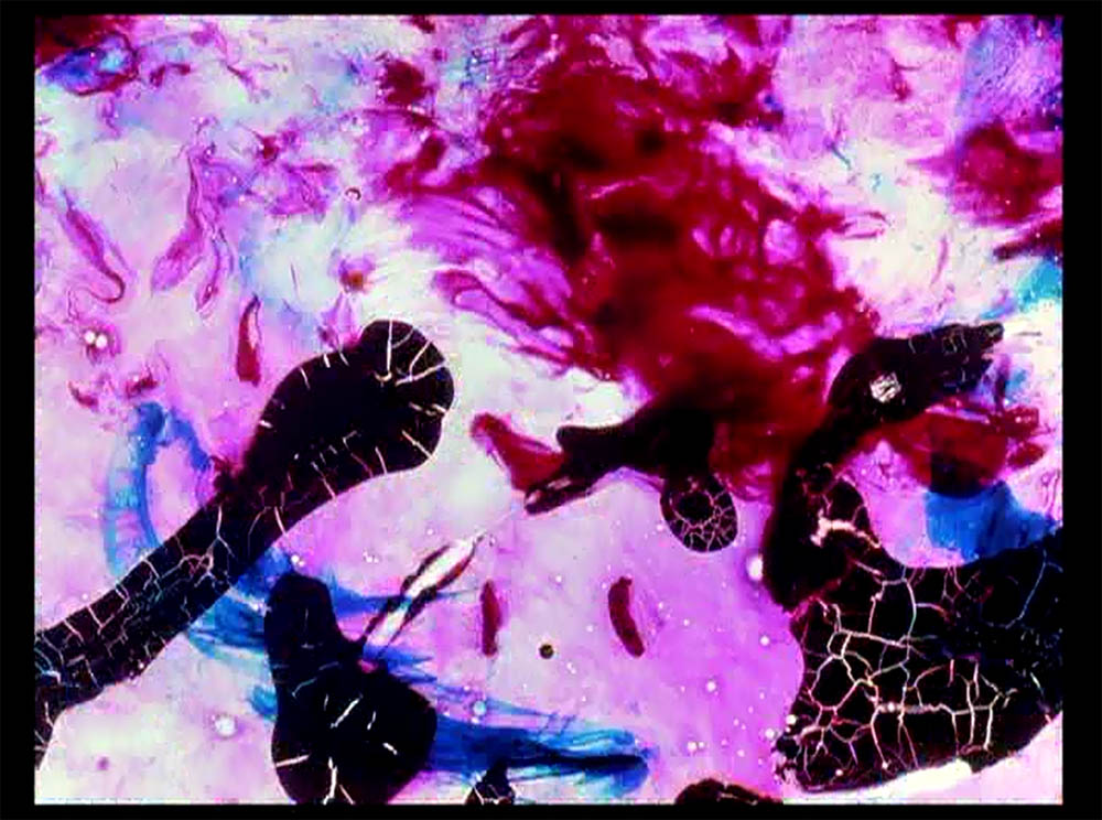 Captive Wild Woman: Stan Brakhage Film Stills from the Underground