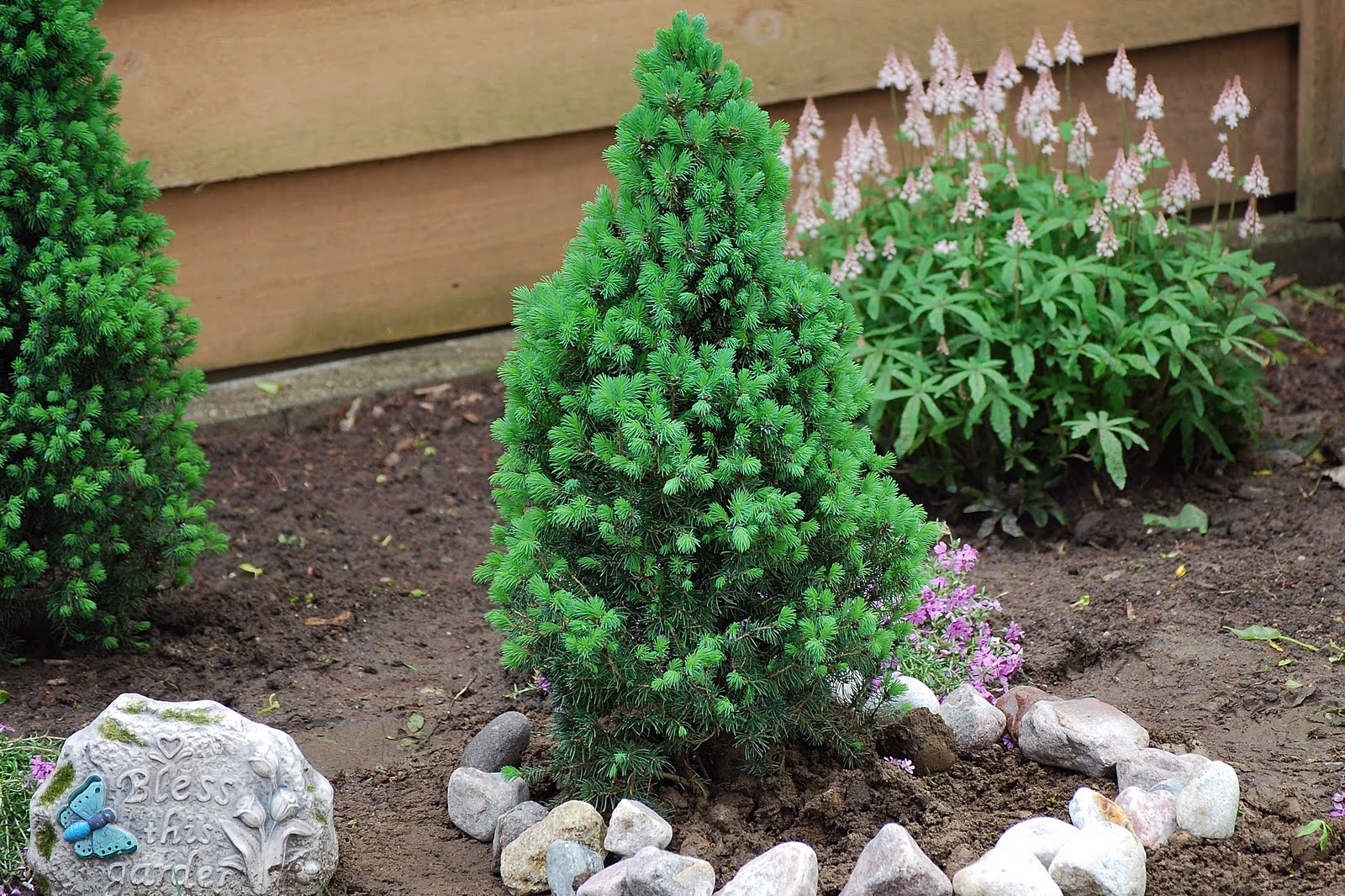 Liam's Life: Liam's Blessing Ceremony