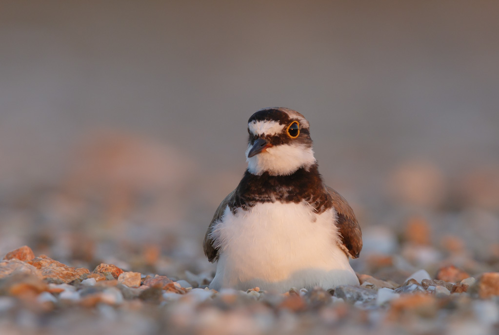 Nikos Fokas Photopraphy Blog