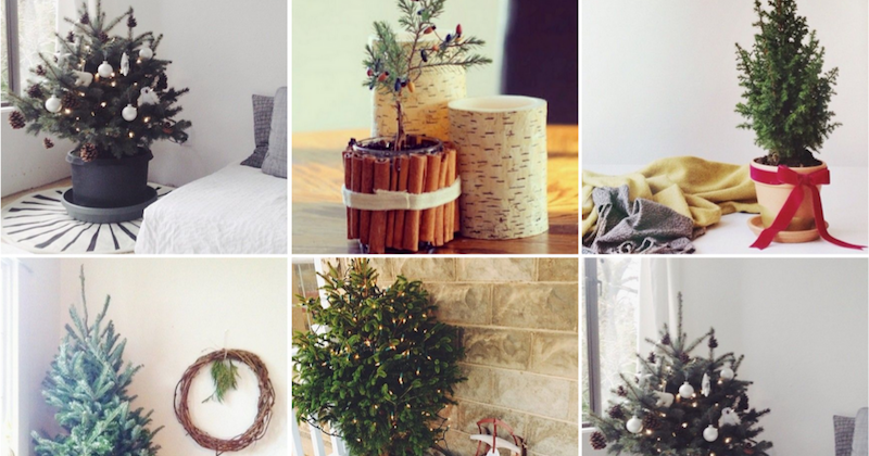 HEY NATALIE JEAN: A FEW FAVORITE CHRISTMAS TREES FROM INSTAGRAM THIS YEAR