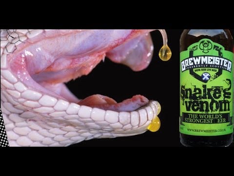 Dave's Beers of the World: Snake Venom Beer