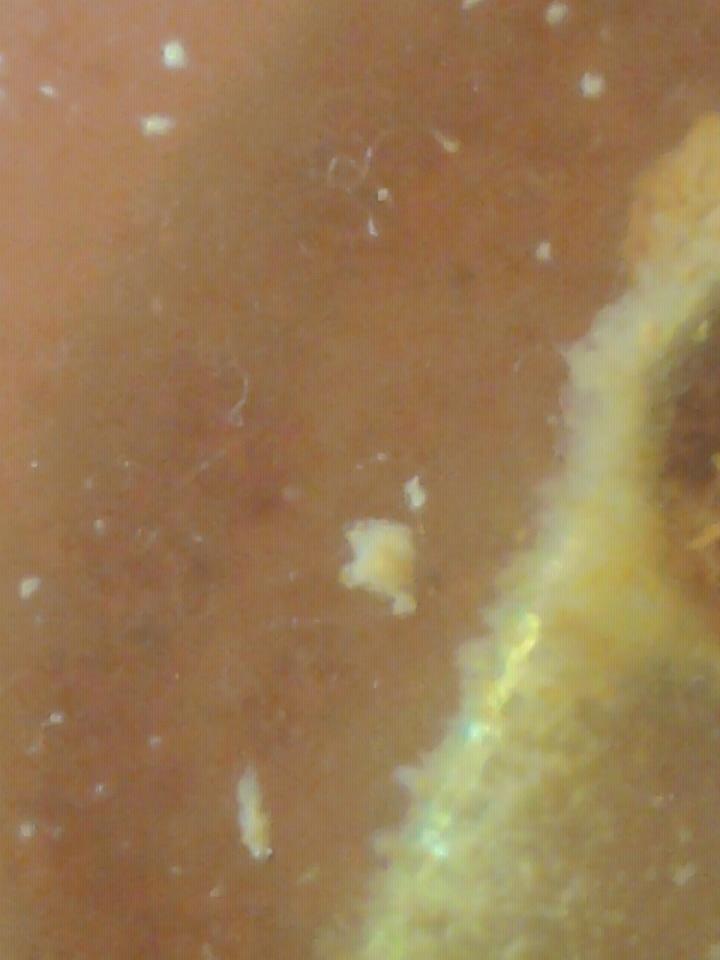 .: True Bose Einstein Condensate System (Phase 1 and 2)