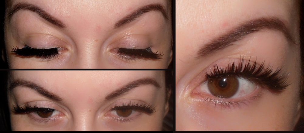 The Lash Report: Part II | British Beauty Blogger