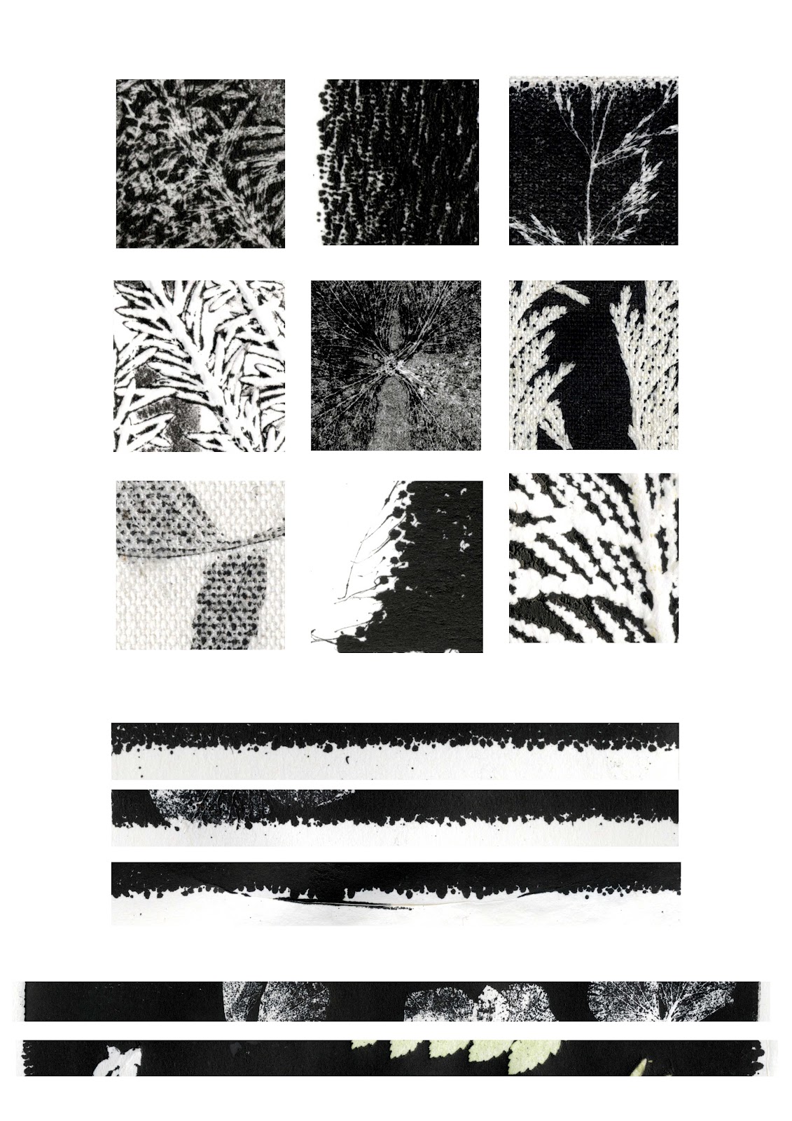 Daisy Waite: April 2012