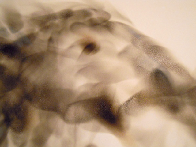 An Elephant a Day: Elephant No. 20: Fumage