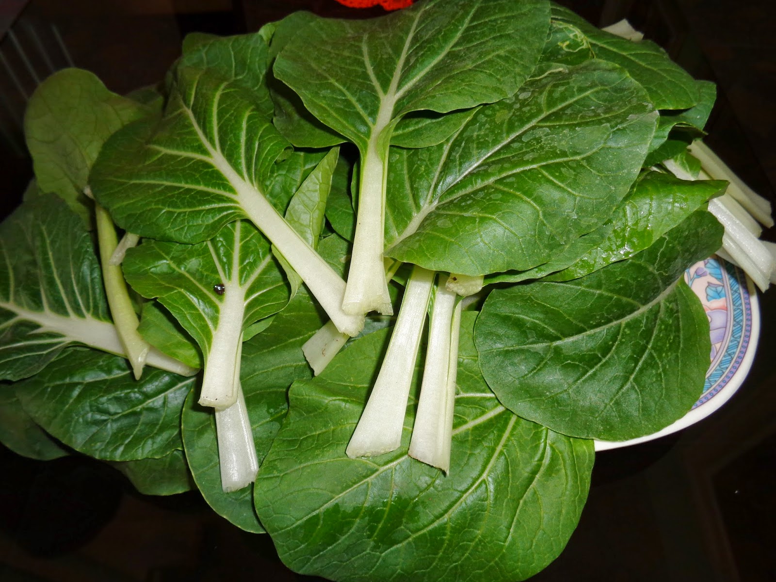 Simply Homebased Mom - The Practical Filipina: Gardening: Planting ...