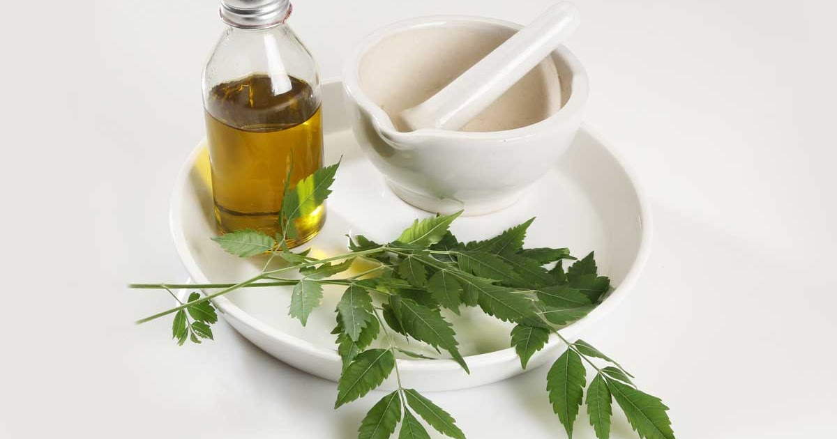Hoojoo Beauty: Neem Oil - Ingredient Breakdown of a Stank that Keeps on ...