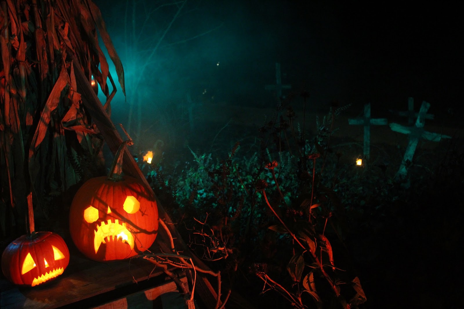 PUMPKINROT.COM: The Blog: Happy Halloween