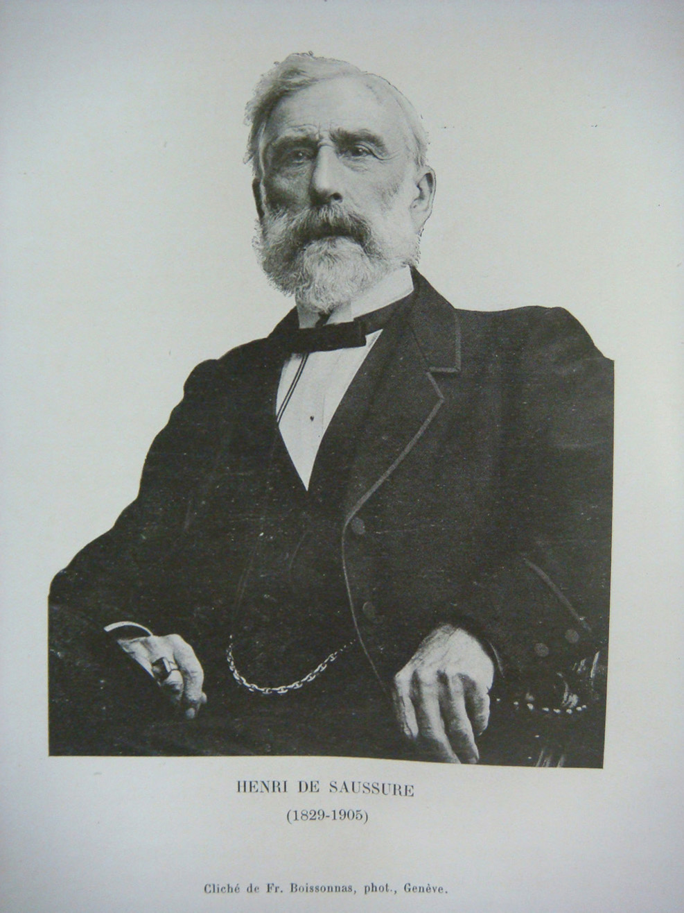 BunyipCo: March 2013