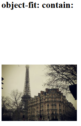 [Tips] CSS Object-fit property - Webzone - All things tech tips web ...